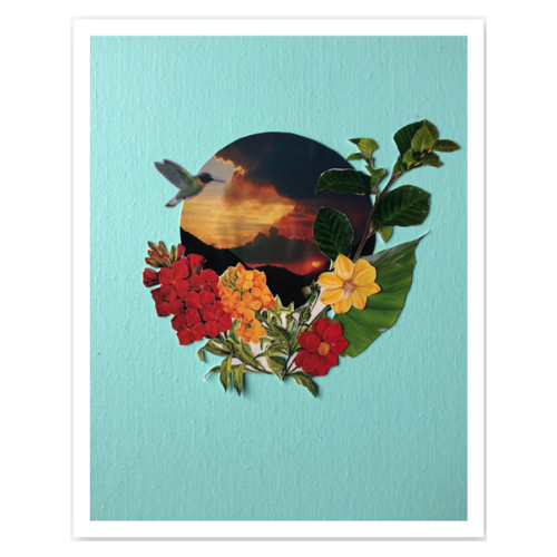 Prints – Ana Bravo Studios